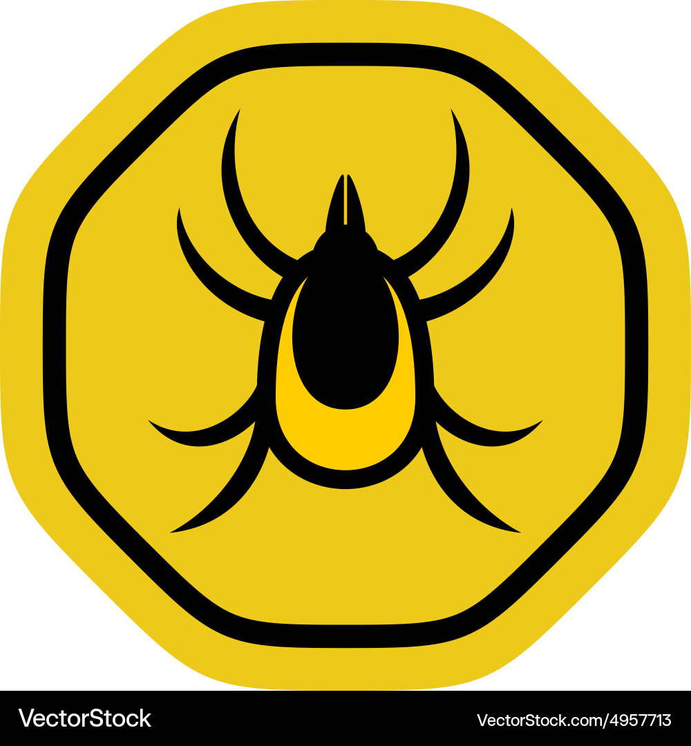 Tick insect Royalty Free Vector Image - VectorStock