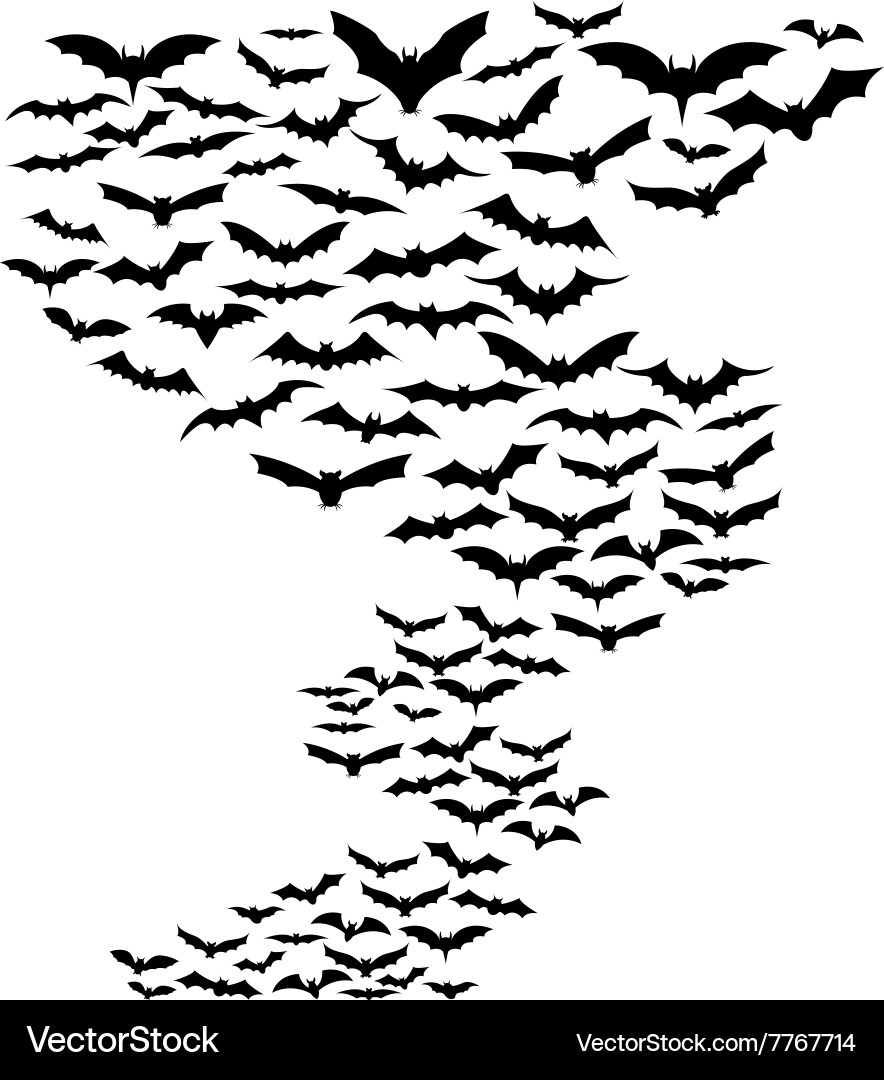 Bats flying around Royalty Free Vector Image - VectorStock