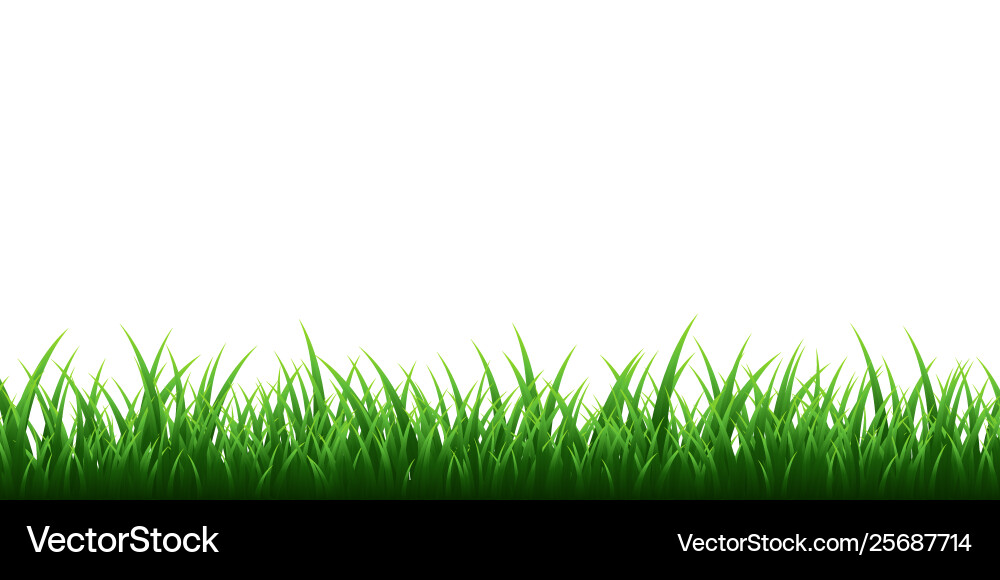 Green grass border set on transparent background Vector Image