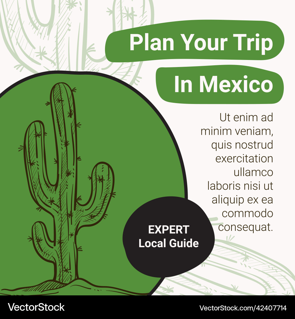 Plan your trip in mexico expert local guides Vector Image