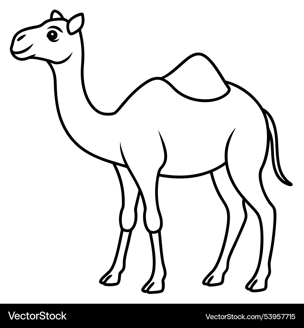 Camel line art design Royalty Free Vector Image