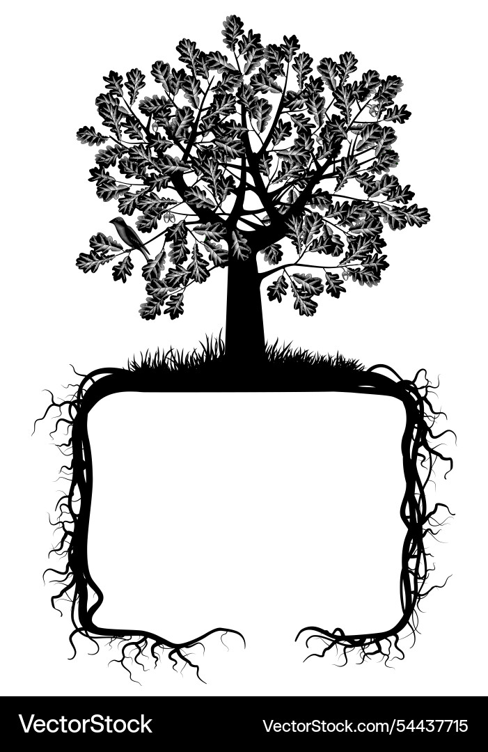 Engraved oak tree with roots frame Royalty Free Vector Image