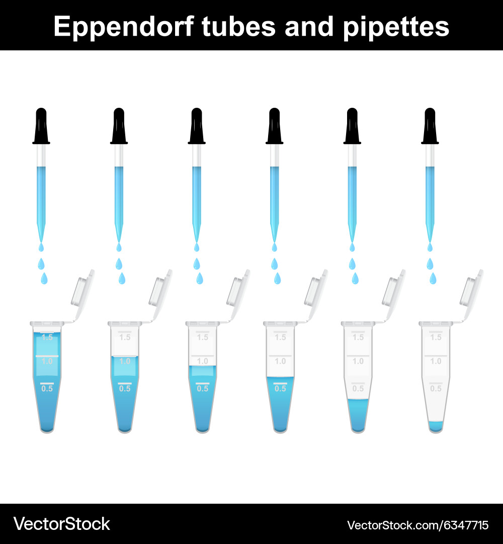 Eppendorf tubes with pipettes Royalty Free Vector Image