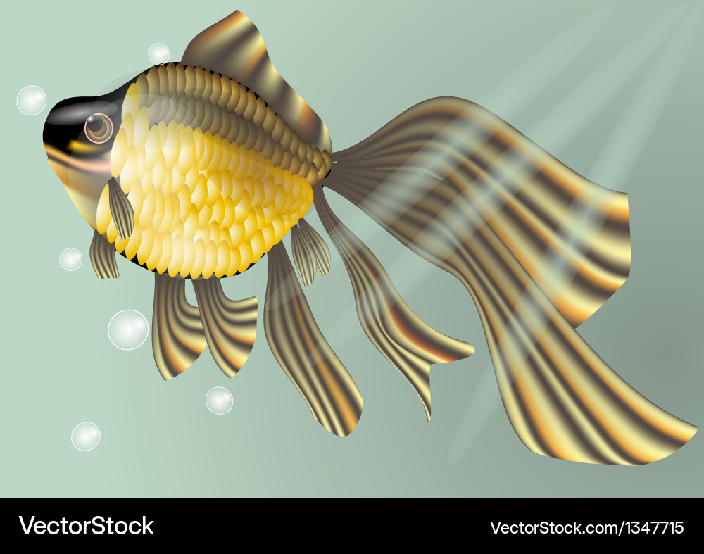Goldfish Royalty Free Vector Image - VectorStock