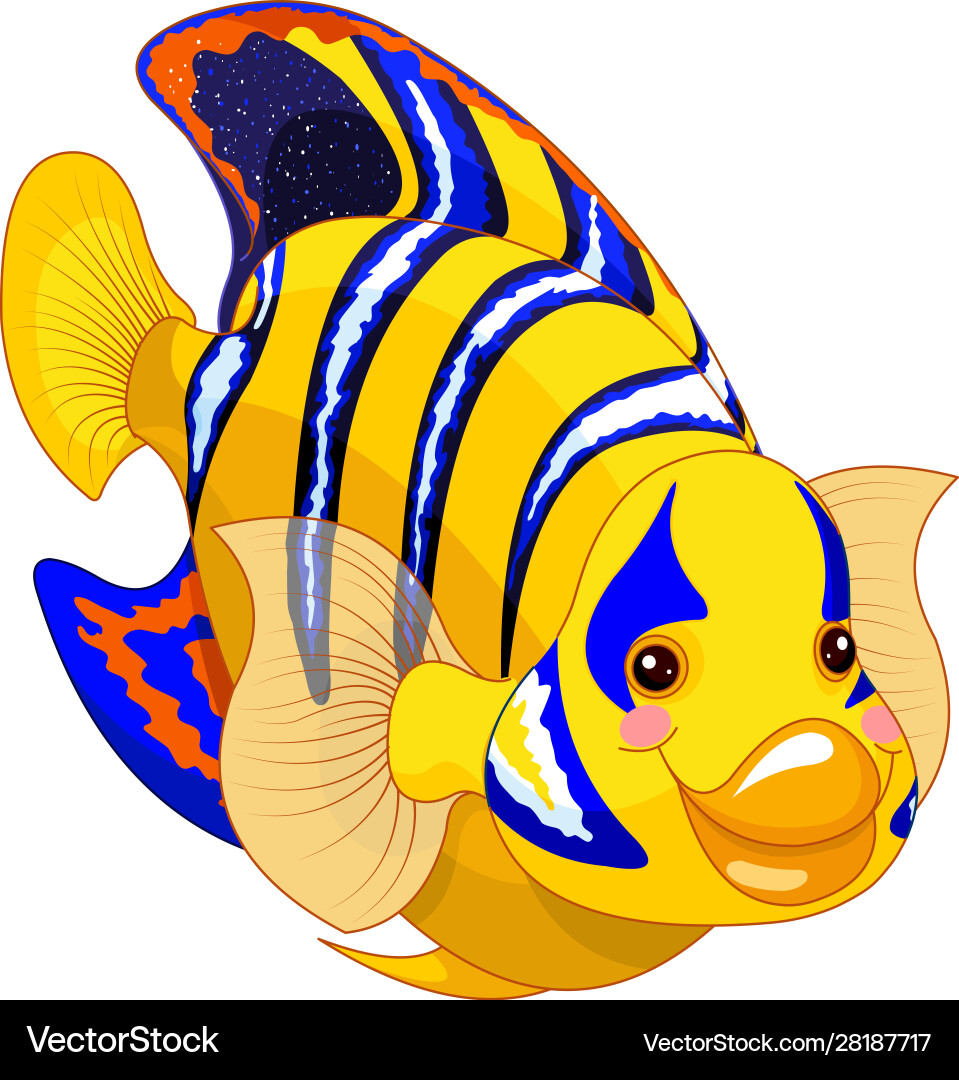 Angel fish Royalty Free Vector Image - VectorStock