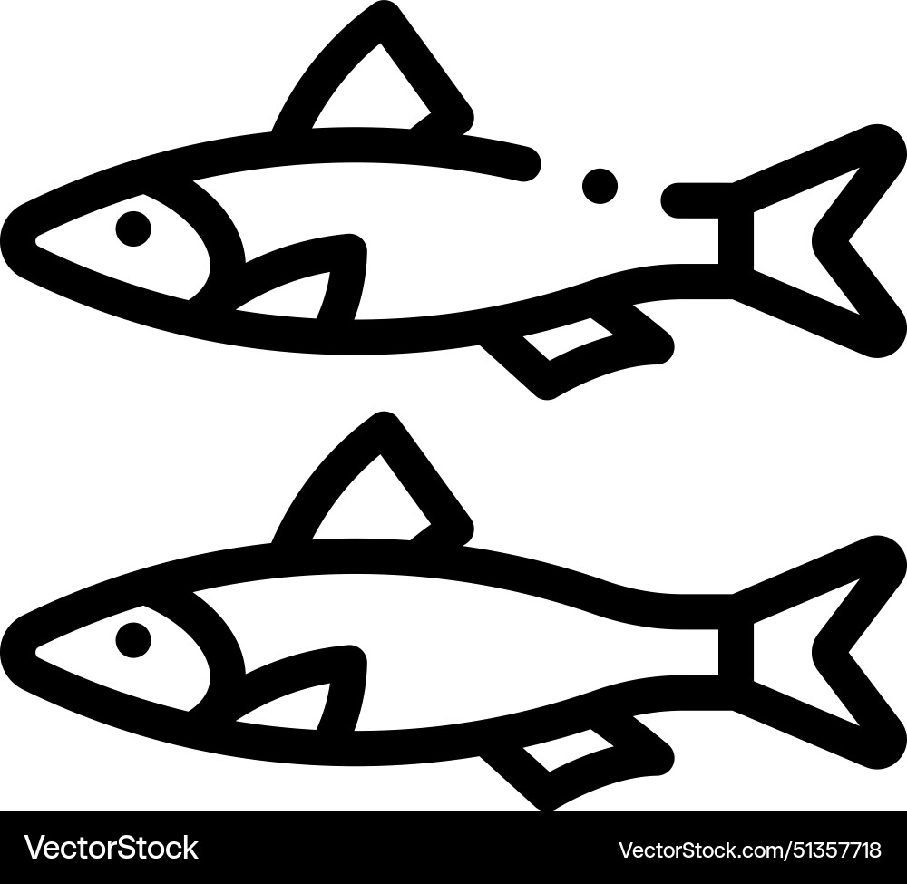 Anchovy icon thin linear style design isolated Vector Image