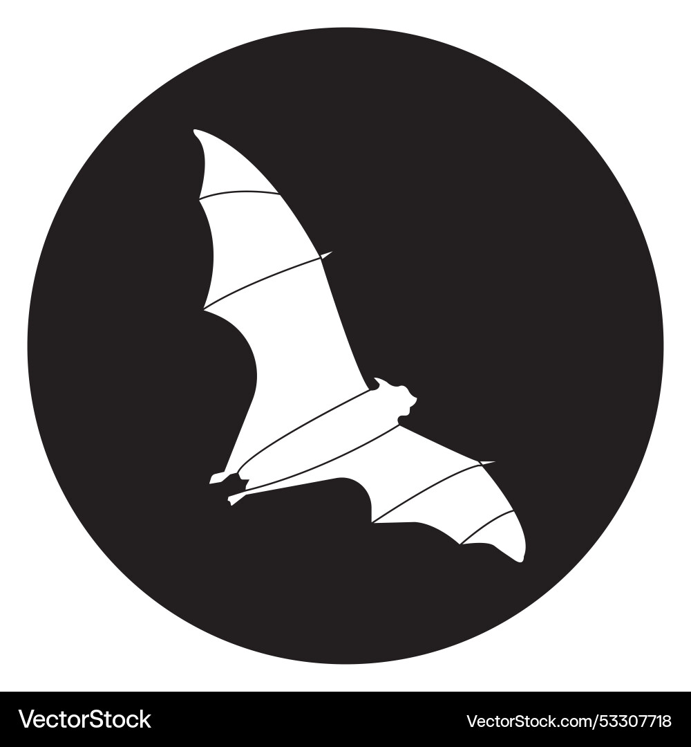 Flying bat icon design template Royalty Free Vector Image