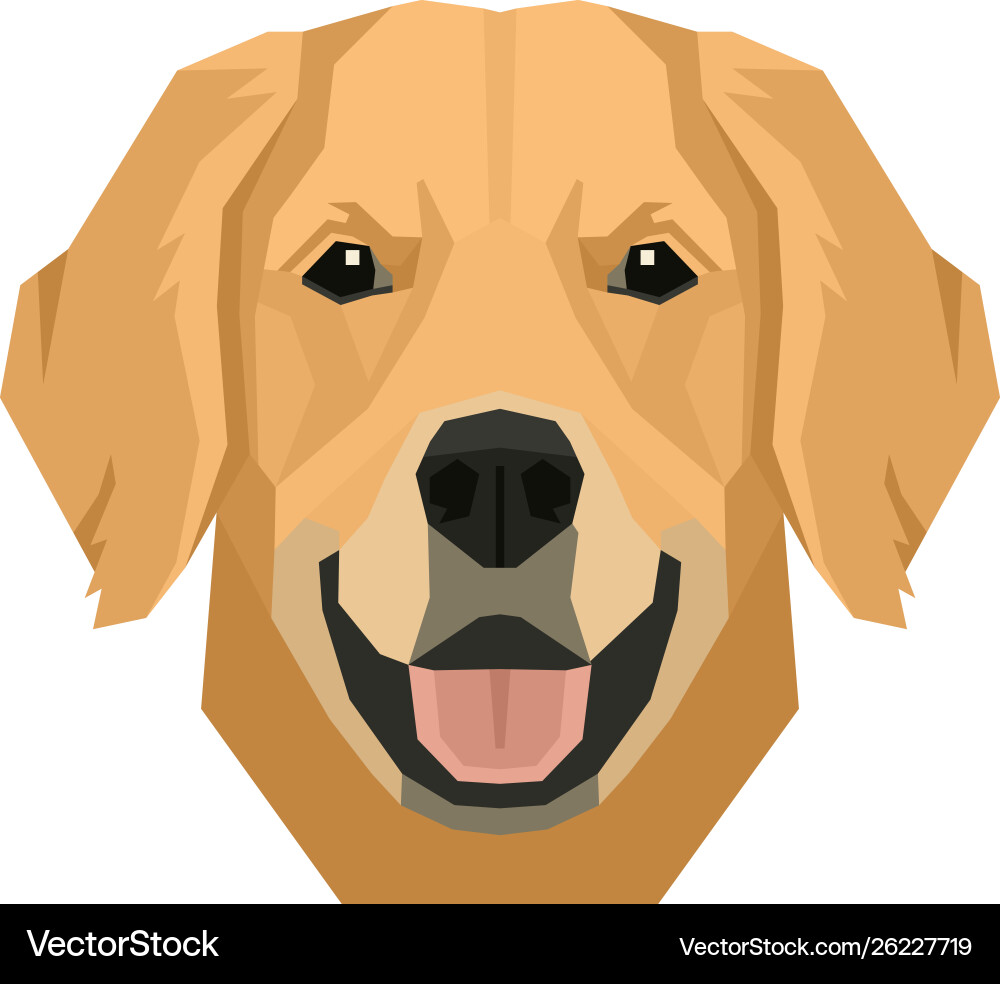 Golden retriever Royalty Free Vector Image - VectorStock