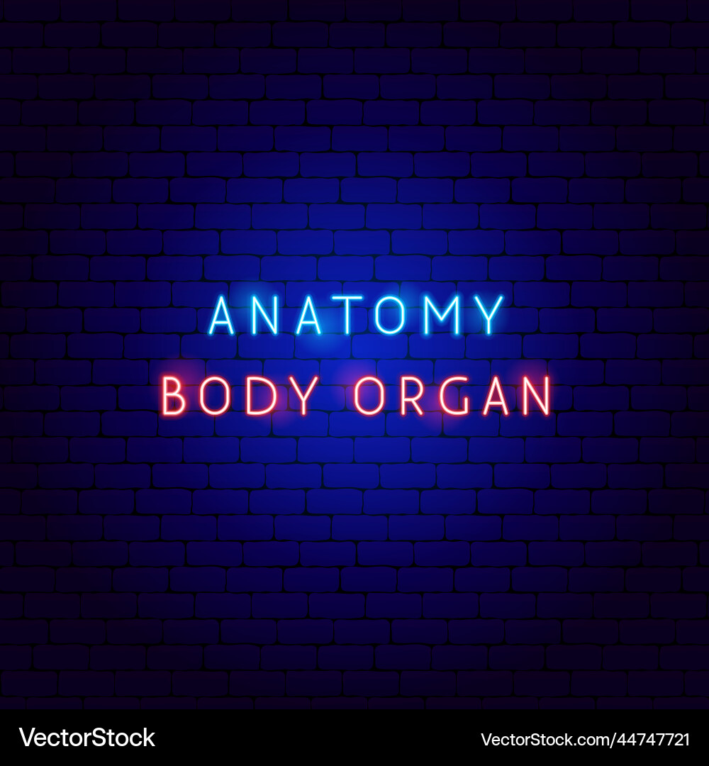 Anatomy body neon text Royalty Free Vector Image