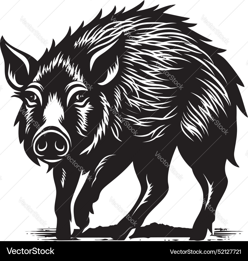 Ferocious tusker boar emblem rampant roar wild Vector Image