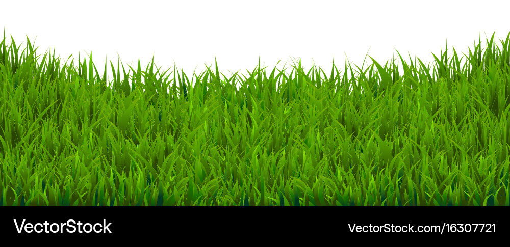 Grass Royalty Free Vector Image - VectorStock