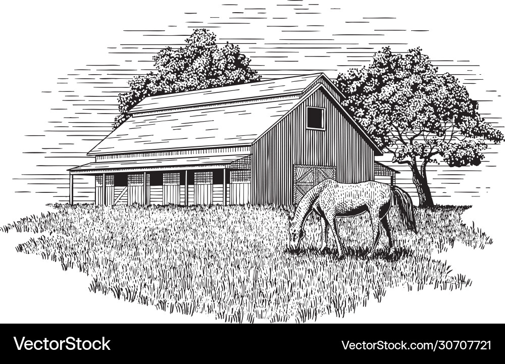 Horse stable Royalty Free Vector Image - VectorStock