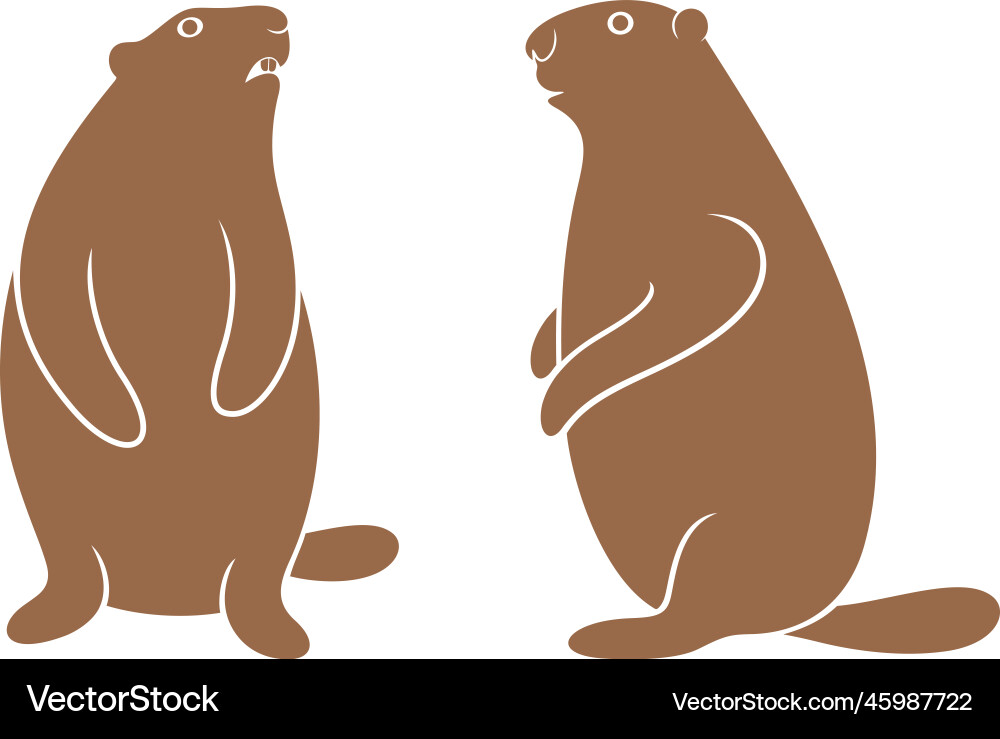 Marmot Royalty Free Vector Image - VectorStock
