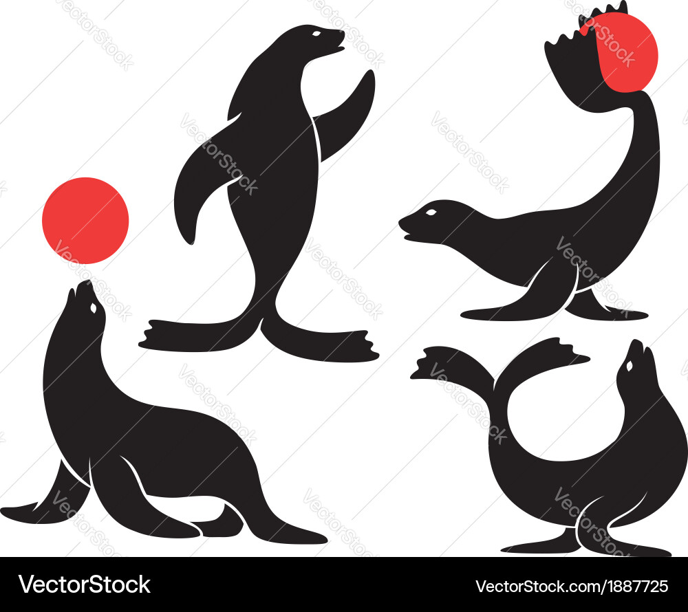 Ball Circus Lion Sea Vector Images (over 210)