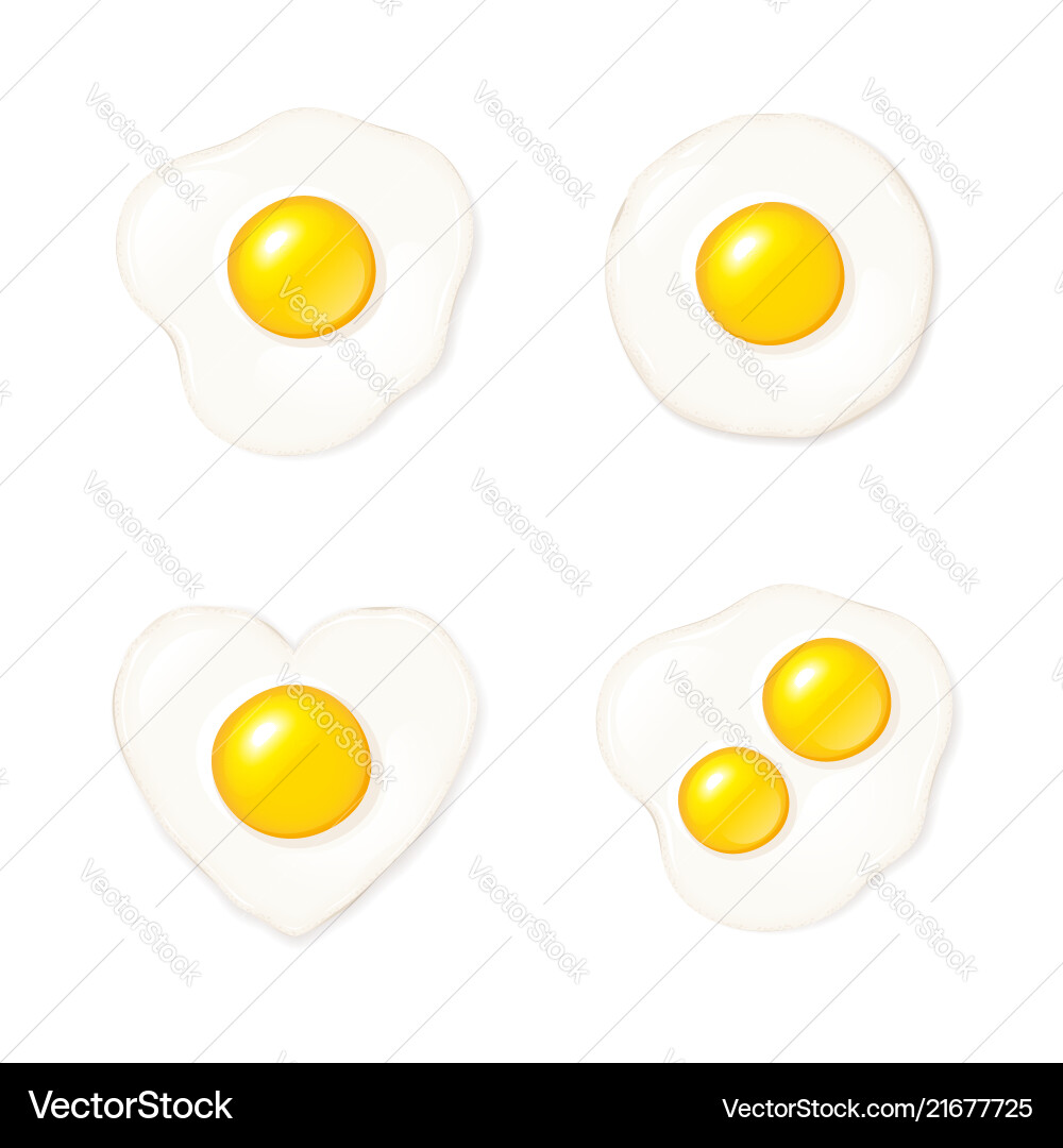 Fried Egg Icon Collection Royalty Free Vector Image