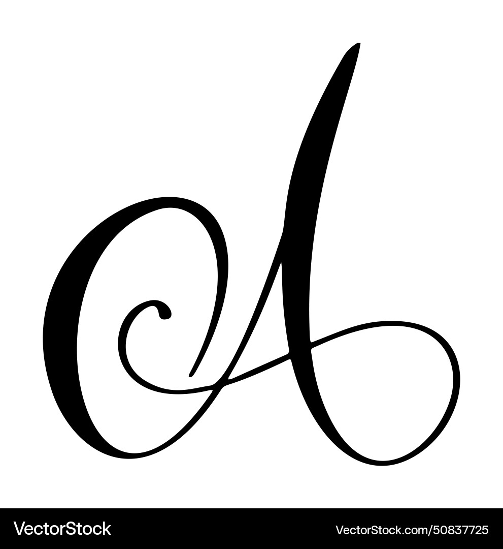 Hand drawn calligraphy letter a script Royalty Free Vector