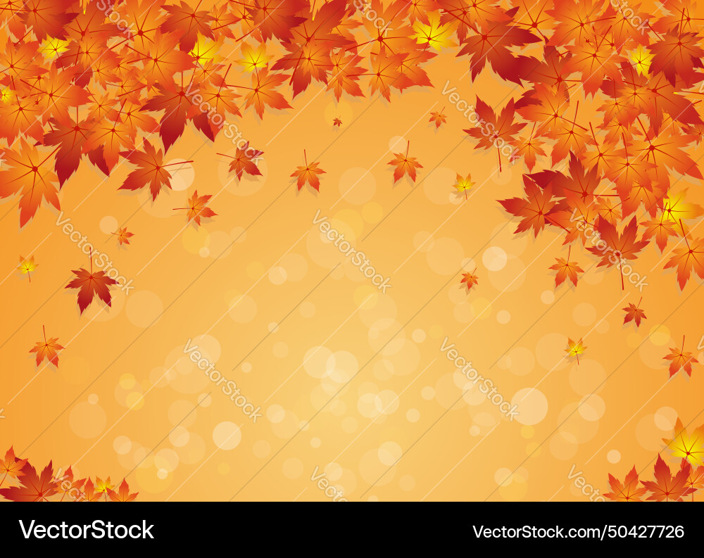 Autumn leaf falling background Royalty Free Vector Image
