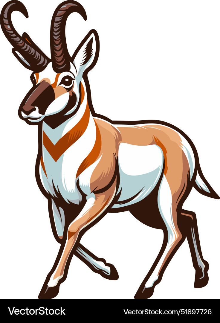 Pronghorn Antelope Side View Royalty Free Vector Image