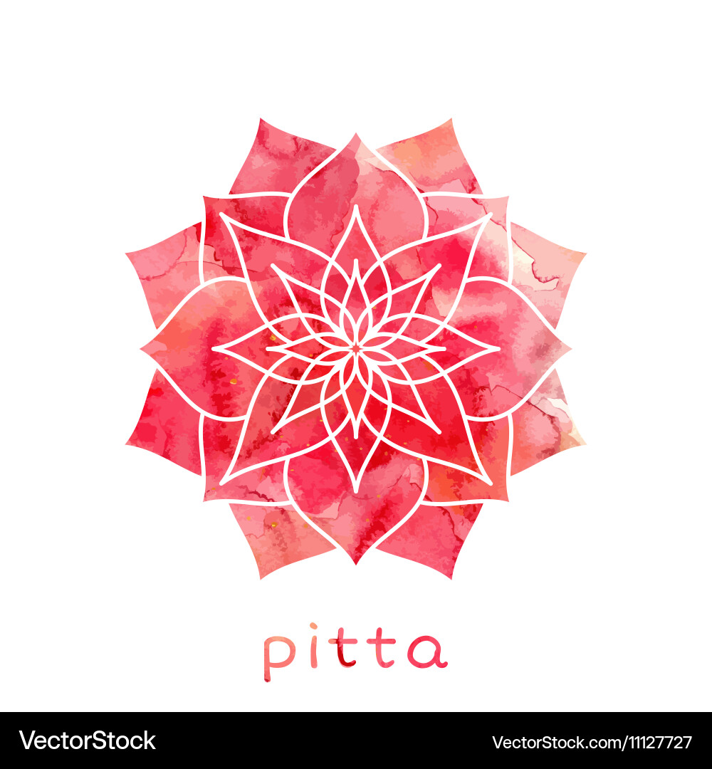 Pitta dosha ayurvedic body type Royalty Free Vector Image