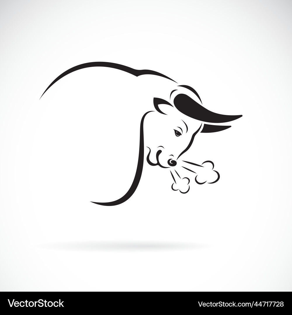 Angry bull design on white background wild Vector Image