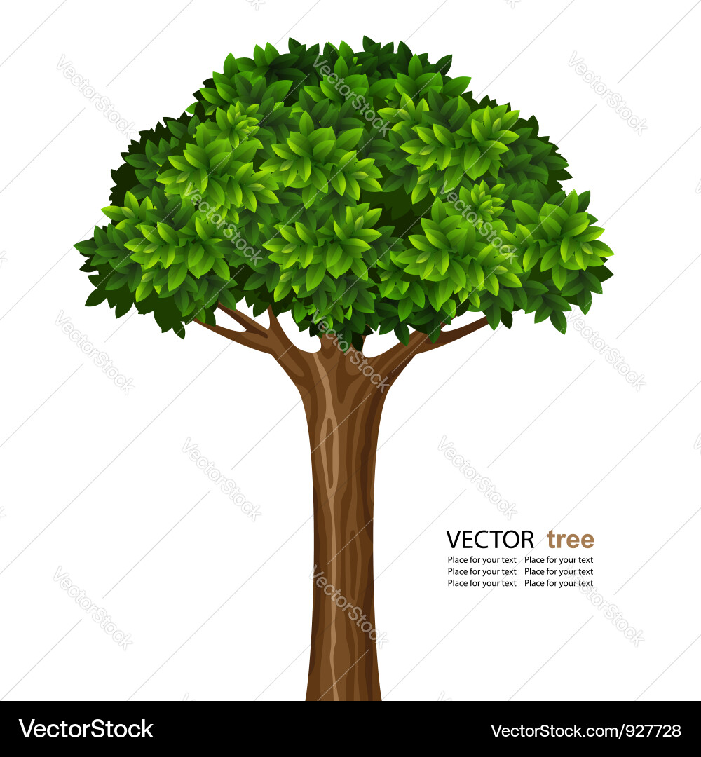 Tree Royalty Free Vector Image - VectorStock