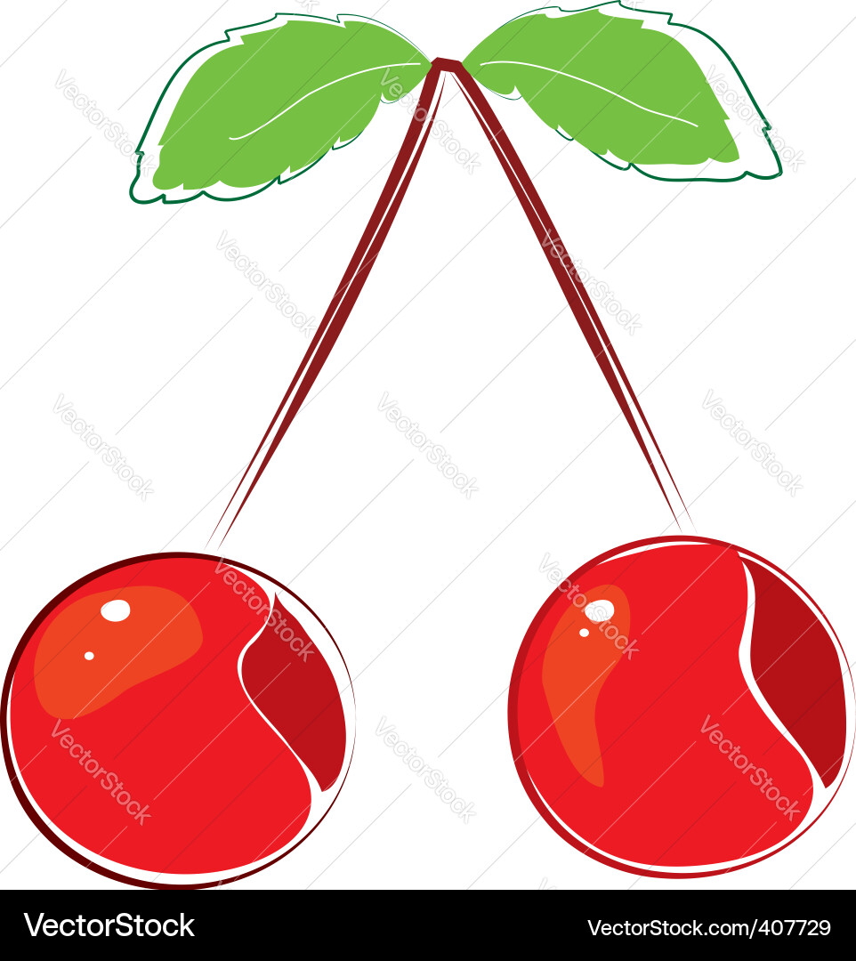 Cherry Royalty Free Vector Image - VectorStock