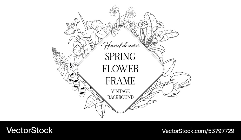 Hand drawn spring botanical frame with flowers Vector Image