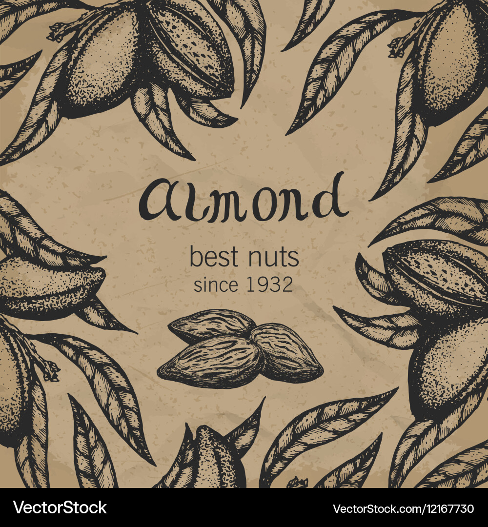 Almond tree design template branch hand Royalty Free Vector