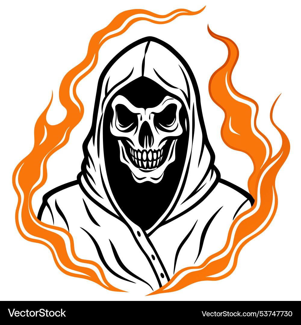 Mysterious hooded figure with a skull face Vector Image