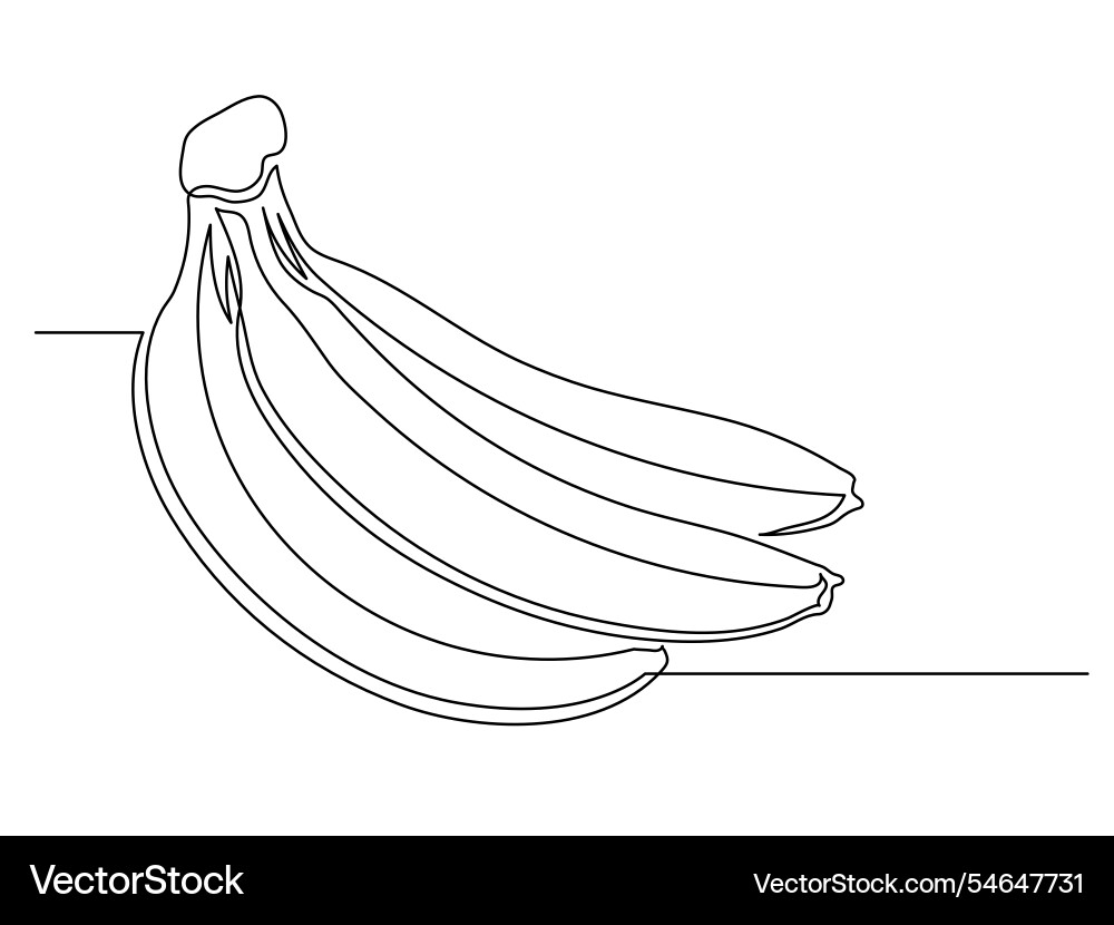 Continuous one line banana bunch Royalty Free Vector Image