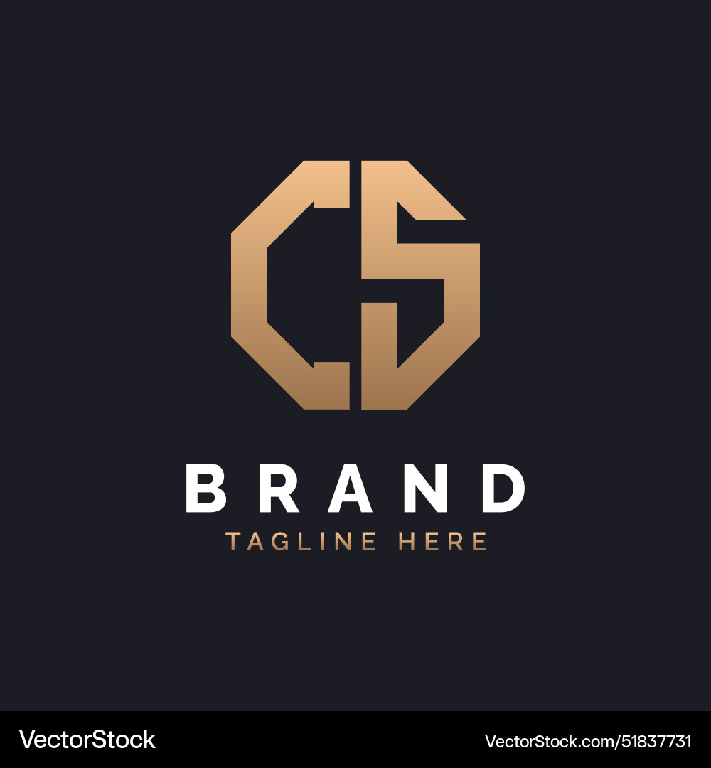 Cs logo design modern minimal elegant and luxury Vector Image