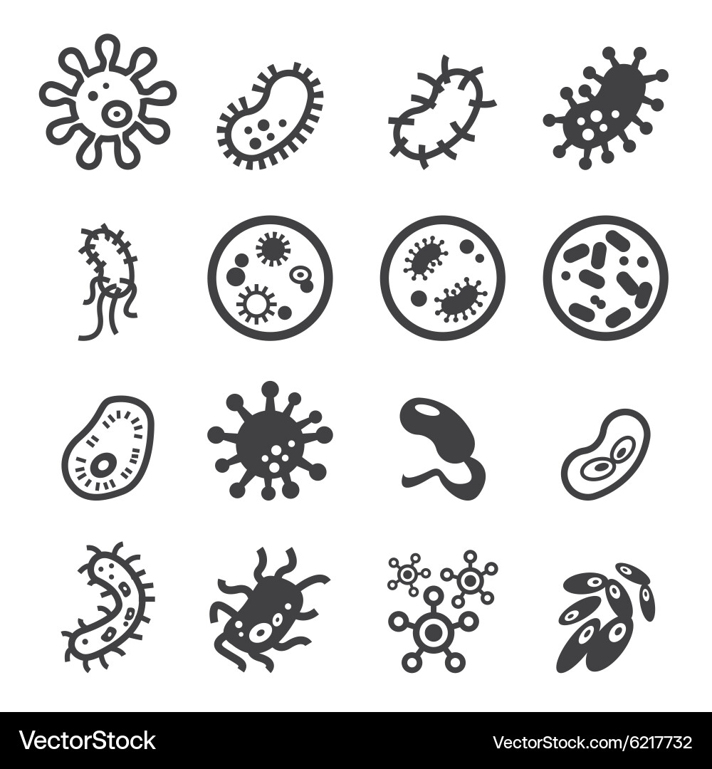 Bacteria icon Royalty Free Vector Image - VectorStock