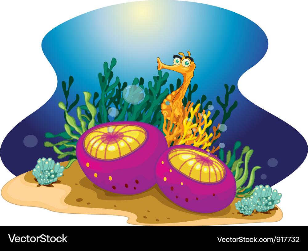 Reef Royalty Free Vector Image - VectorStock