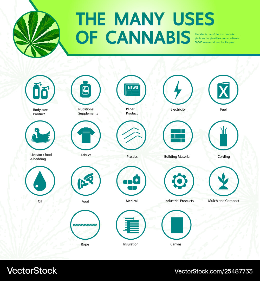 Cannabis Health Benefits Royalty Free Vector Image