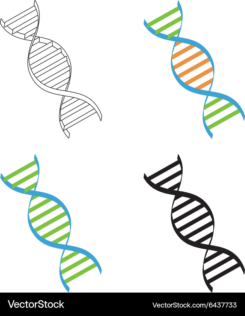 Dna set Royalty Free Vector Image - VectorStock