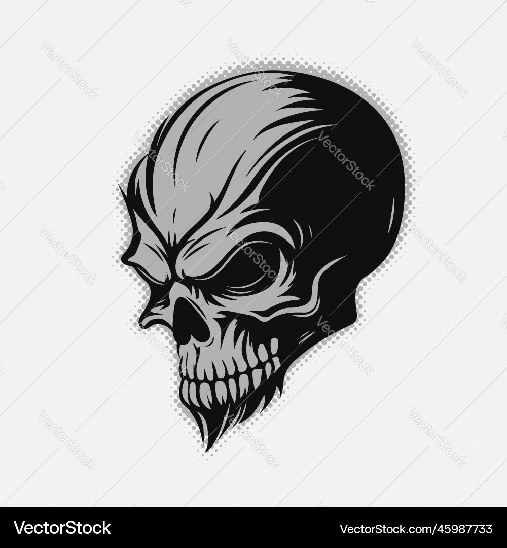 Real Human Skull Black And White