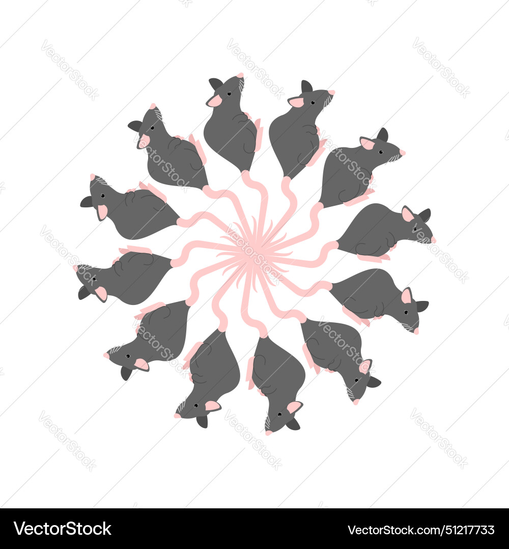 Rat king plexus of mouse tails Royalty Free Vector Image