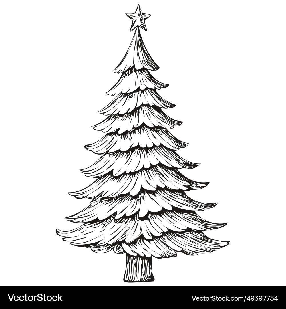 Christmas tree drawing in black and white hand Vector Image