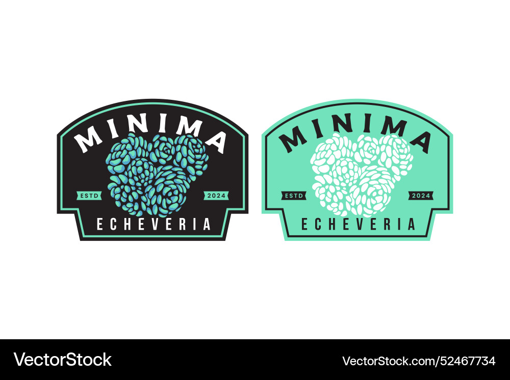 Succulents with atlantis echeveria badge logo Vector Image