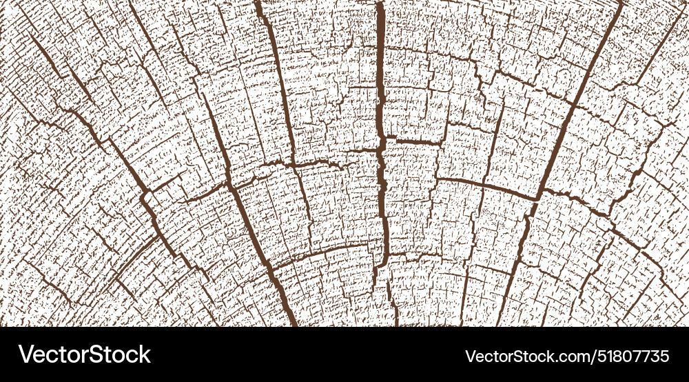 Distressed wood texture Royalty Free Vector Image