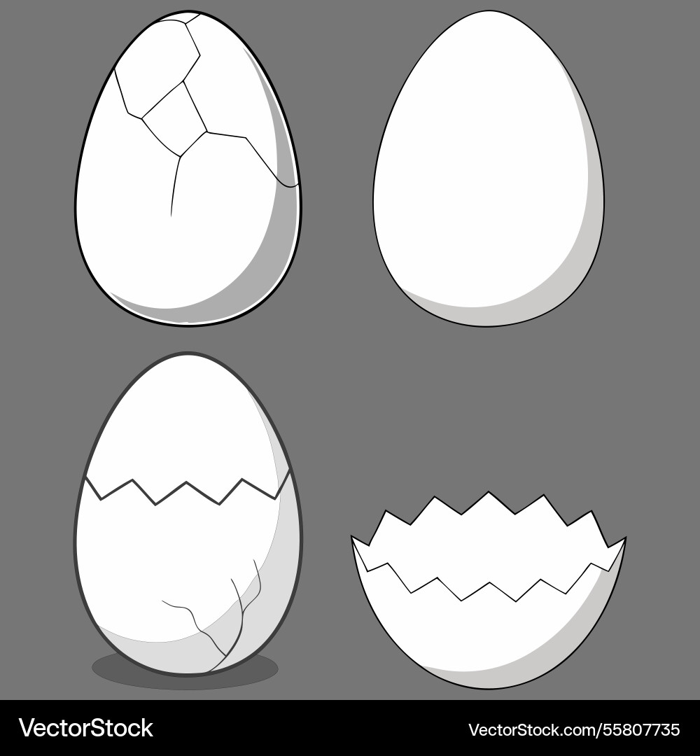 Eggs in different stages of hatching Royalty Free Vector