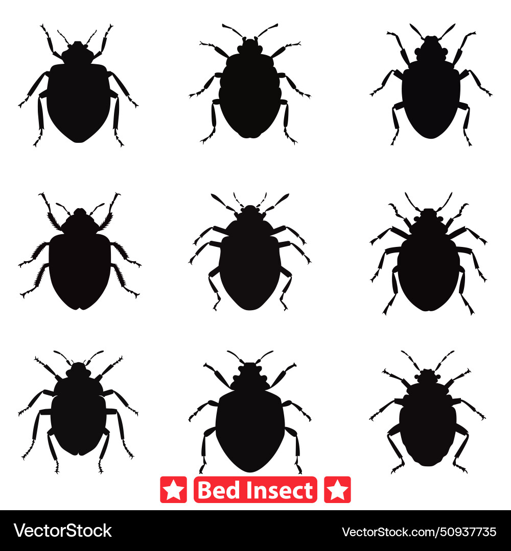 Insect infestation alert detailed bed bug Vector Image