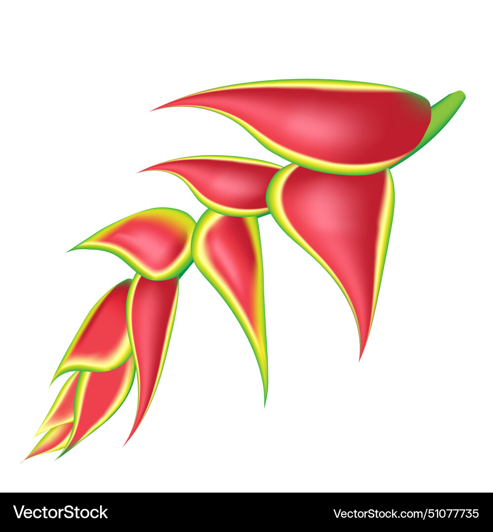 Jungle flowerleaves tropic set isolated elements Vector Image