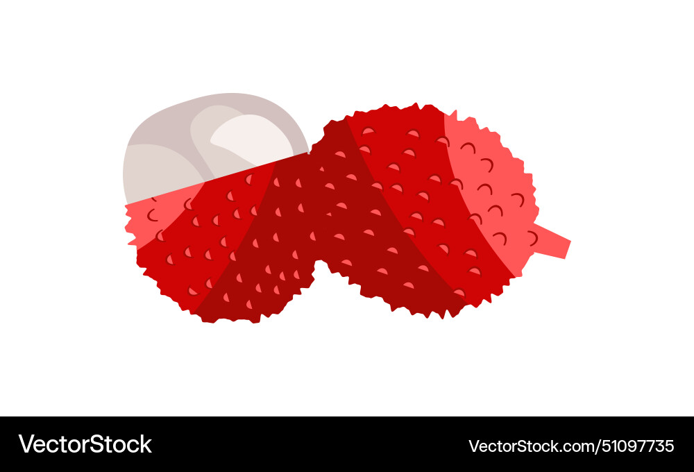 Lychee design Royalty Free Vector Image - VectorStock