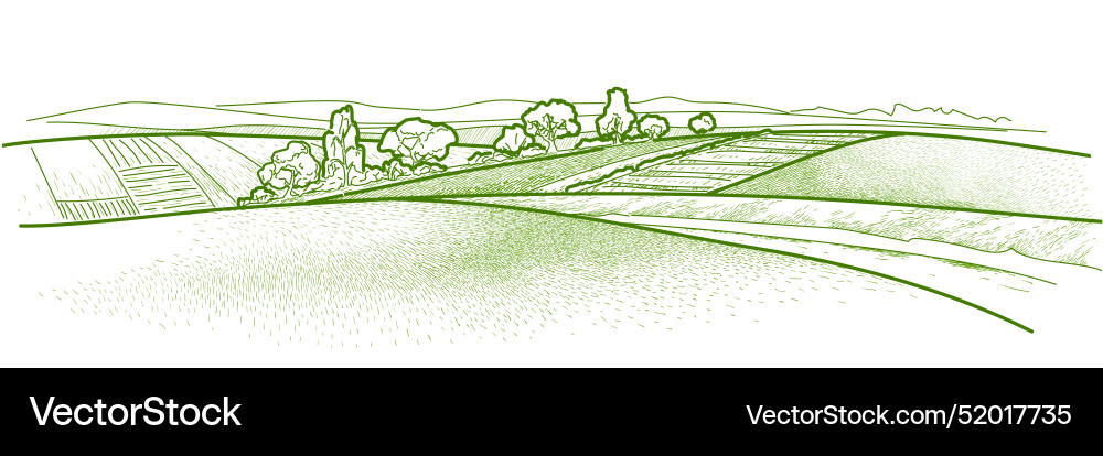 Sketch green grass field on small hills Royalty Free Vector