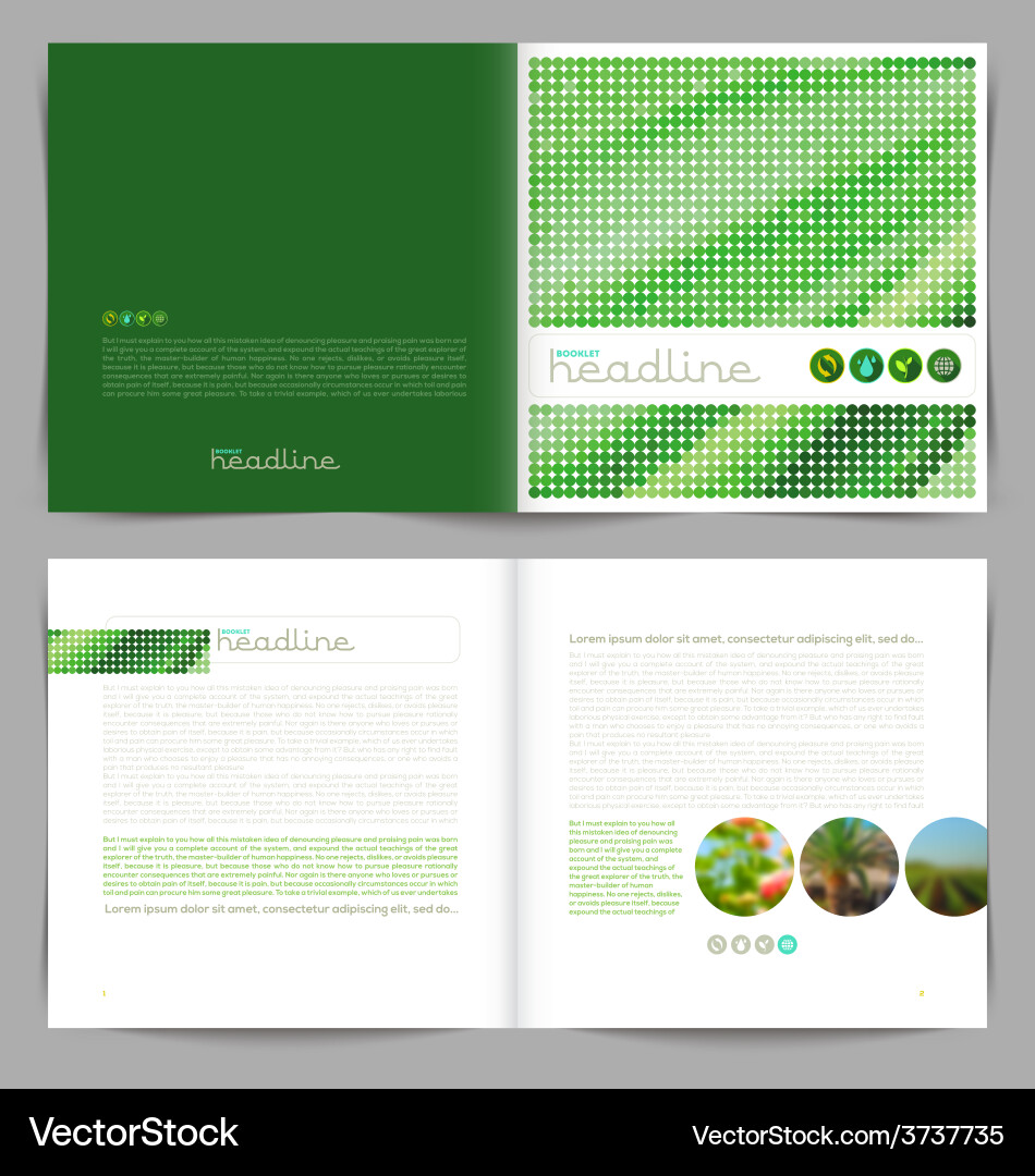 Template booklet design cover and inside pages Vector Image