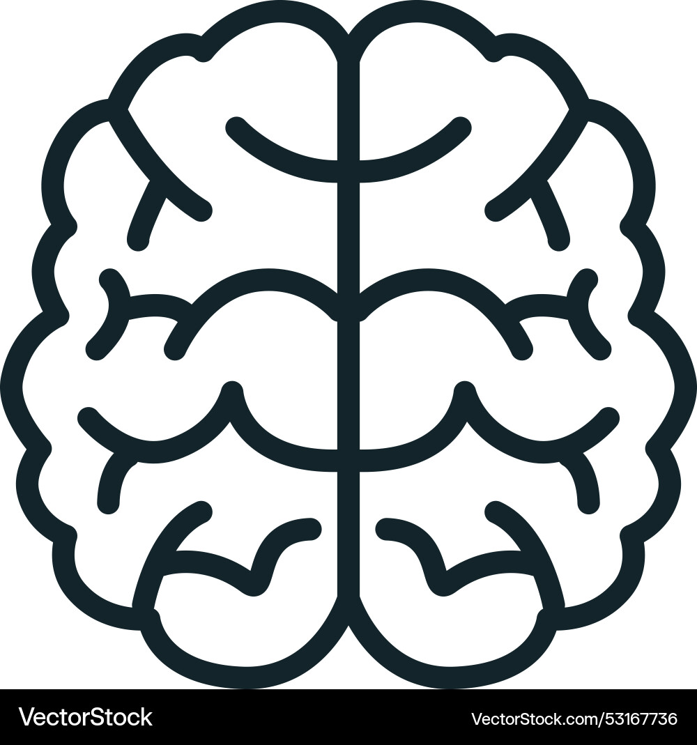 Human brain drawing representing thinking process Vector Image