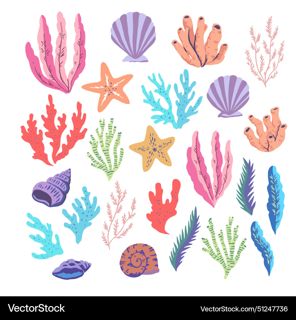 Set of sea elements corals seaweeds shells Vector Image