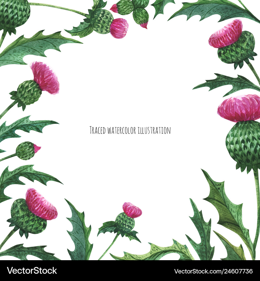 Square border from thistles Royalty Free Vector Image