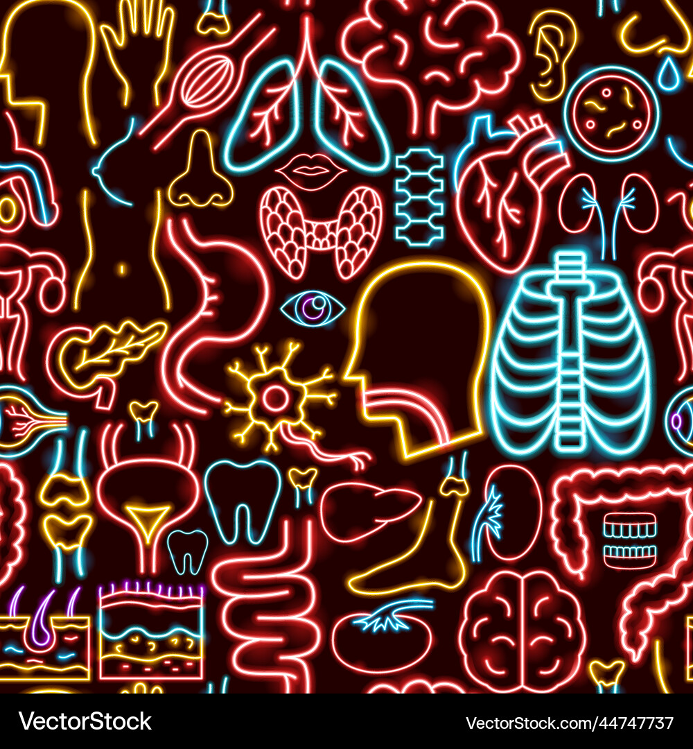 Medical Anatomy Pattern Royalty Free Vector Image